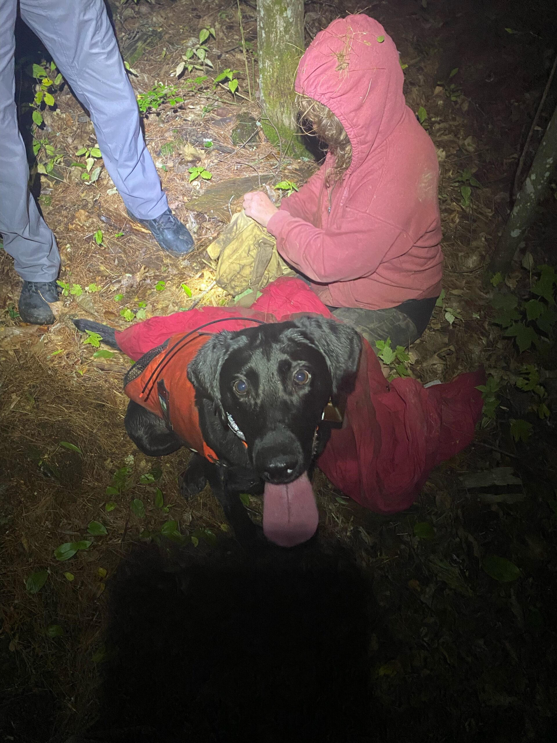 Game warden K9 helps find missing New Hampshire woman in South Berwick ...