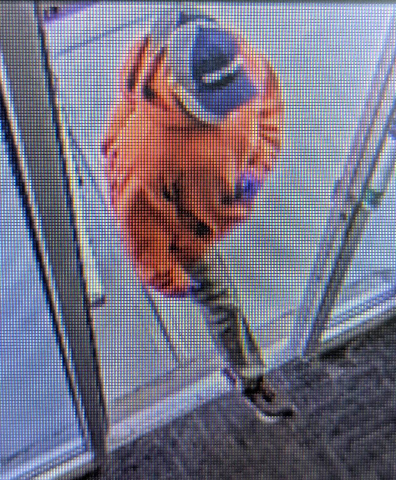 Portland Police Still Looking for Weekend Bank Robbery Suspect ...